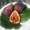 Preserving Food Memories: Spiced Sweet Pickled Figs