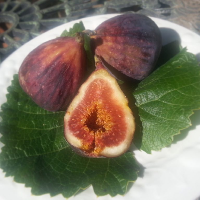 Preserving Food Memories: Spiced Sweet Pickled Figs