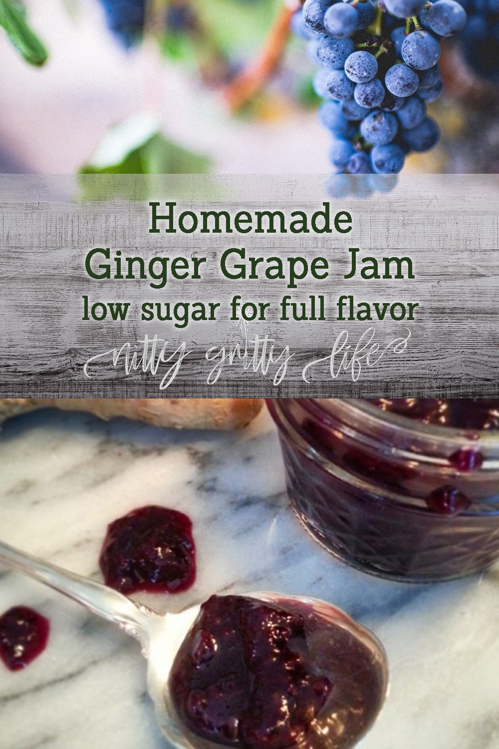 Ginger Grape Jam: Grape Jelly Grows Up - Nitty Gritty Life