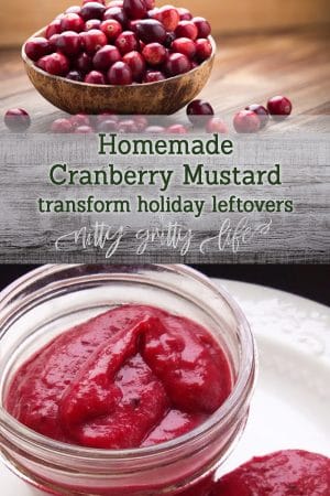 Cranberry Mustard: Leftovers Transformed - Nitty Gritty Life