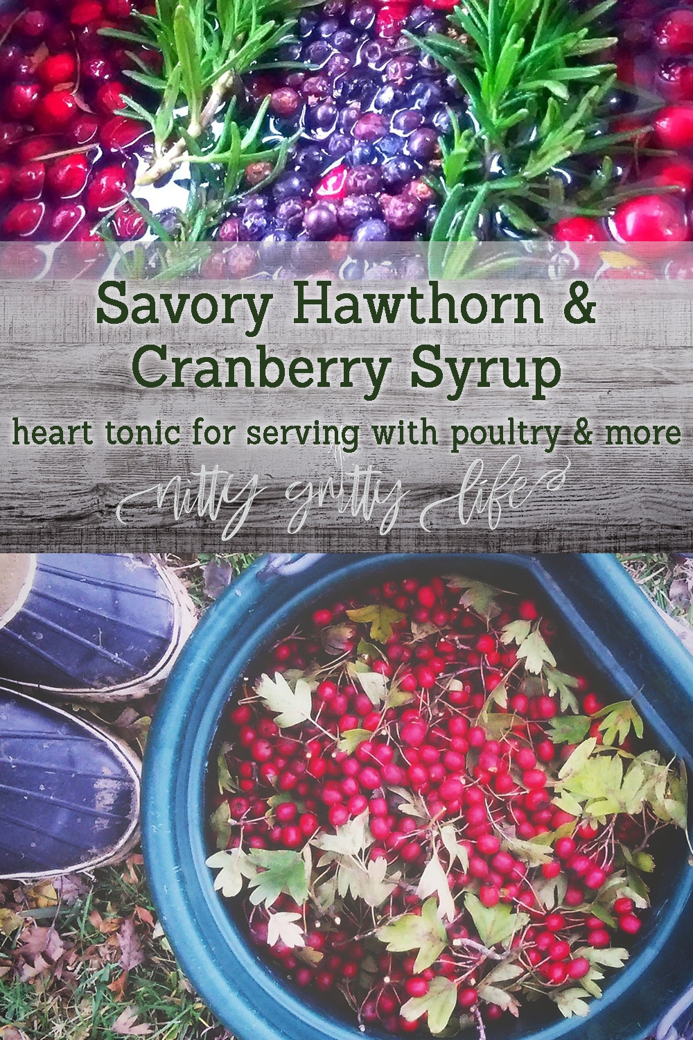 With a Friend Like Hawthorn - Nitty Gritty Life