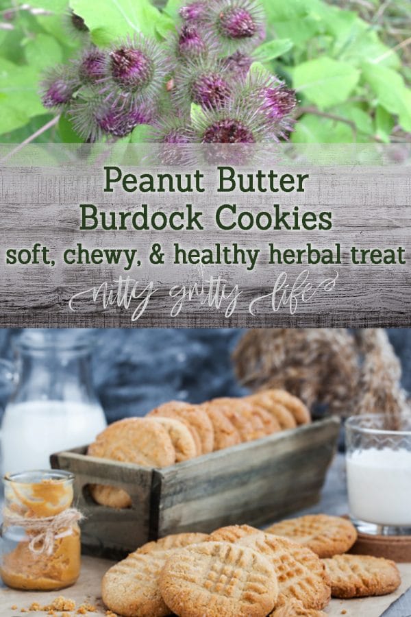 Burdock Root Recipe: Virtually Sinless Peanut Butter Cookies