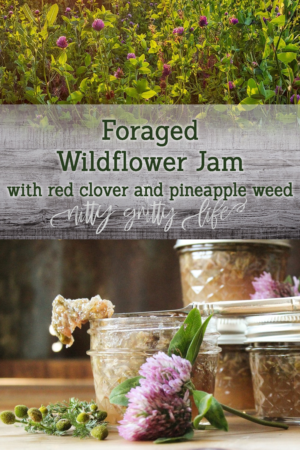 Wonderful Wildflower Jam With Red Clover & Pineapple Weed - Nitty ...