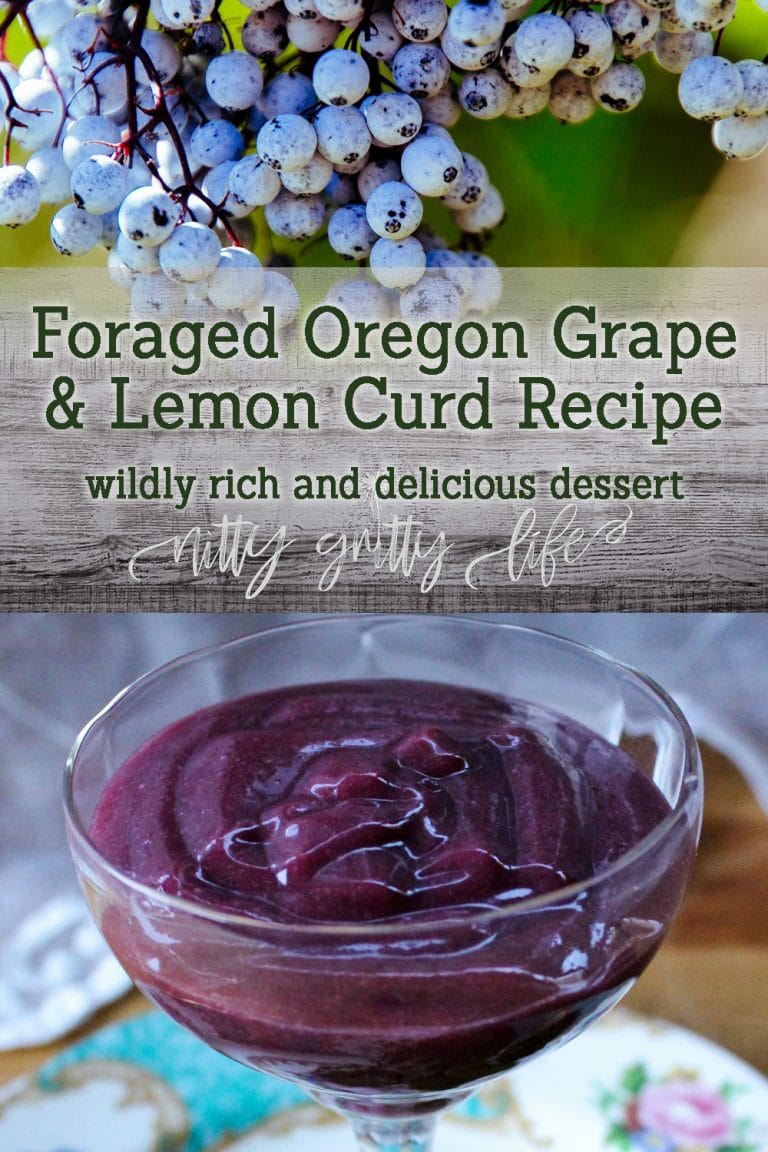 Oregon Grape Recipe: Delicious Oregon Grape and Lemon Curd