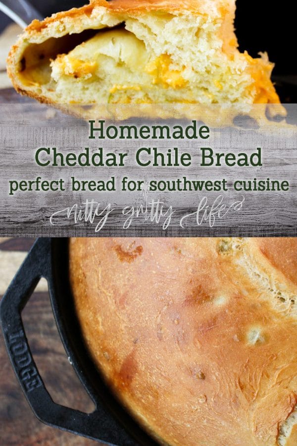 Delicious Cheddar Chile Bread - Nitty Gritty Life