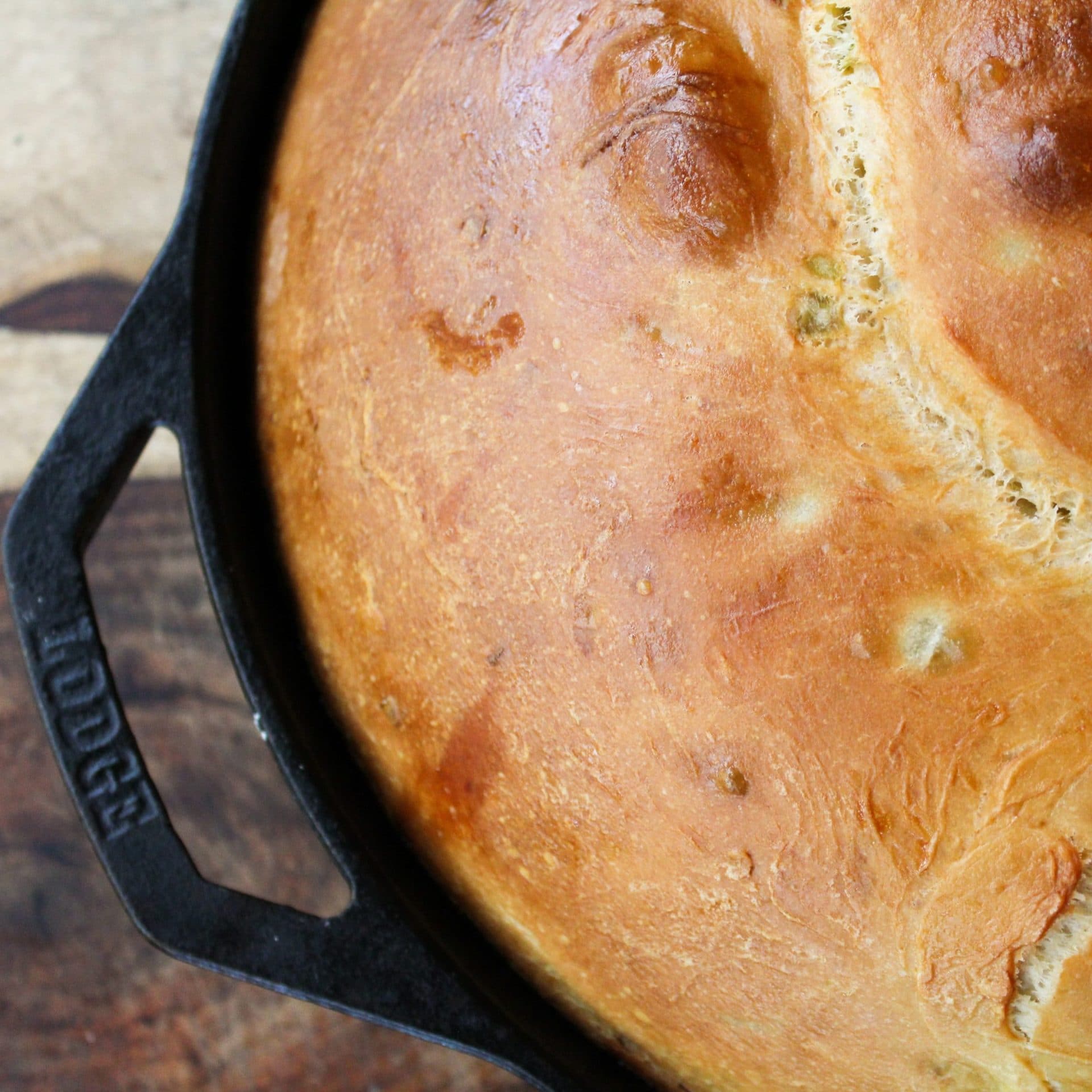 Delicious Cheddar Chile Bread - Nitty Gritty Life