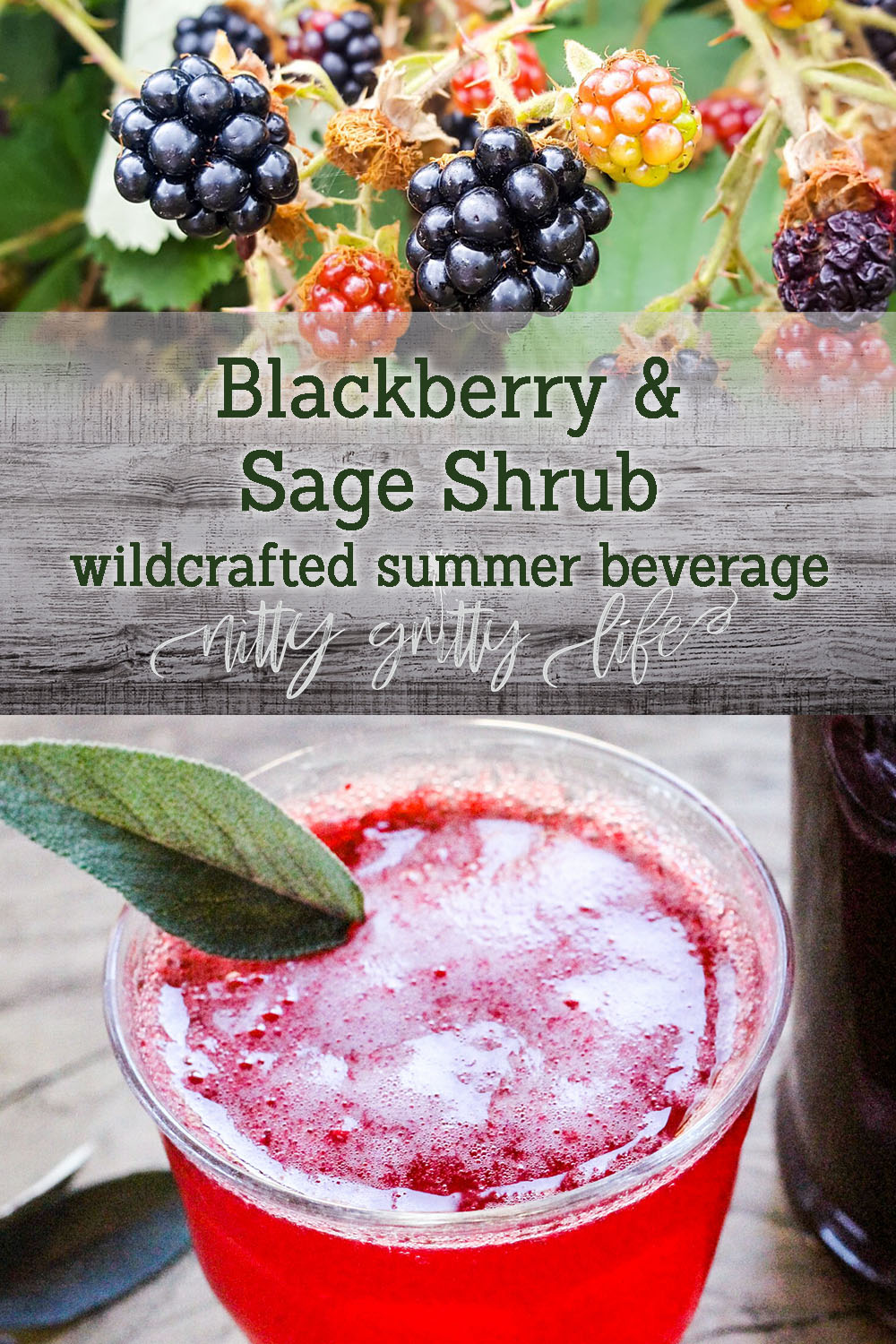 Drinking Vinegar: Foraged Wild Blackberry Sage Shrub for Summer Drinks