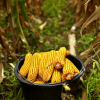 Of Harvest & Hag: The Mabon Corn Dolly {History & Tutorial}