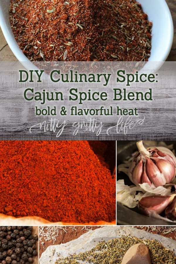 DIY Culinary Herb & Spice Blends: Cajun Spice Mix
