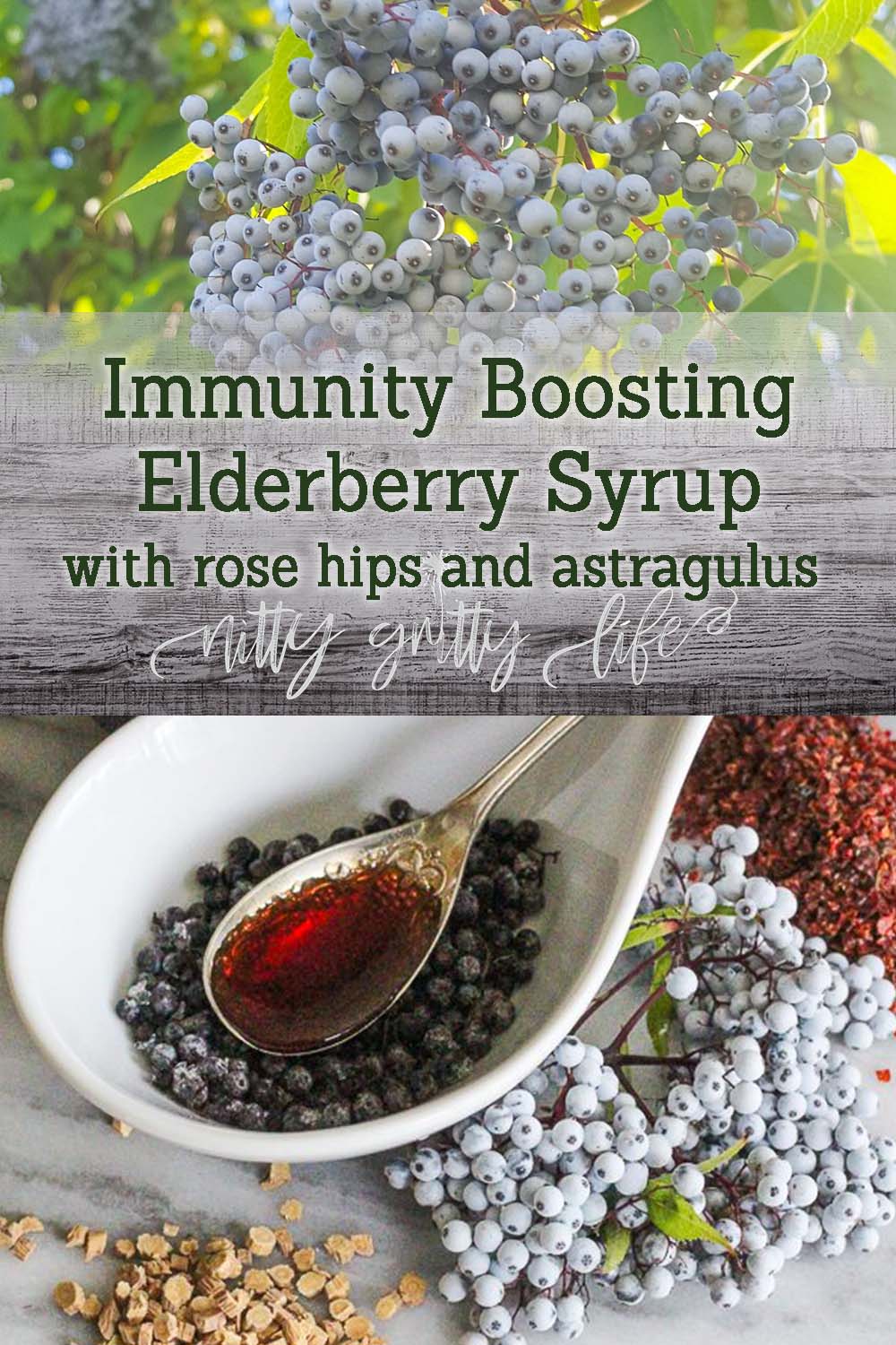 Elderberry Immunity Syrup with Rose Hips and Astragalus