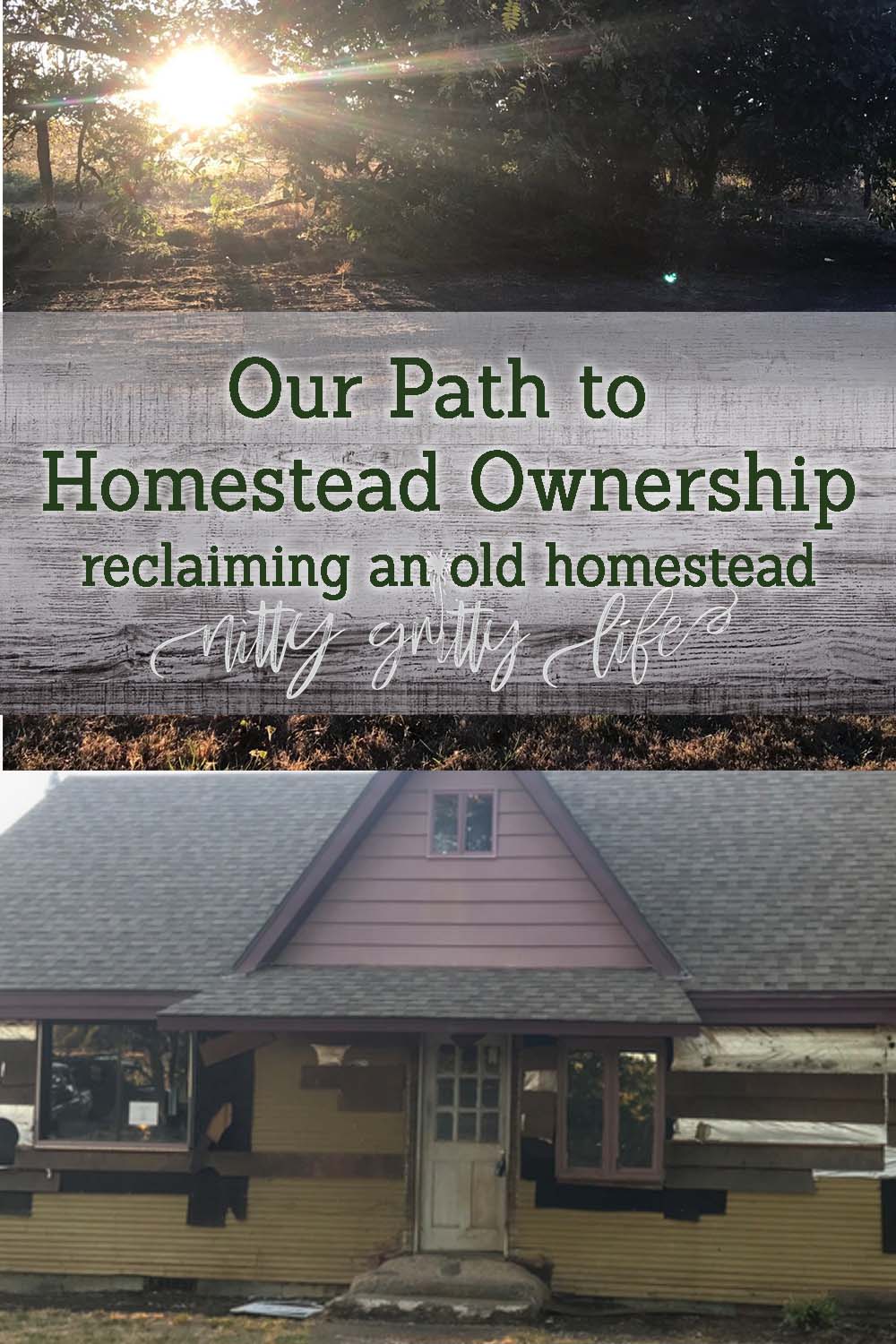 Reclaiming the Homestead: Our Path to Homestead Ownership