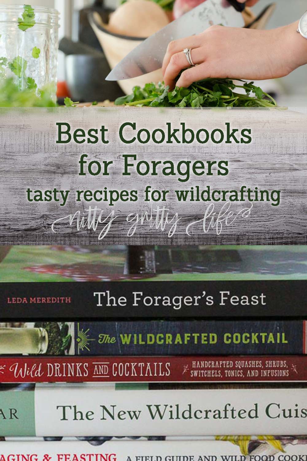 5 Perfect Foraging Cookbooks for Your Wildcrafting Endeavors