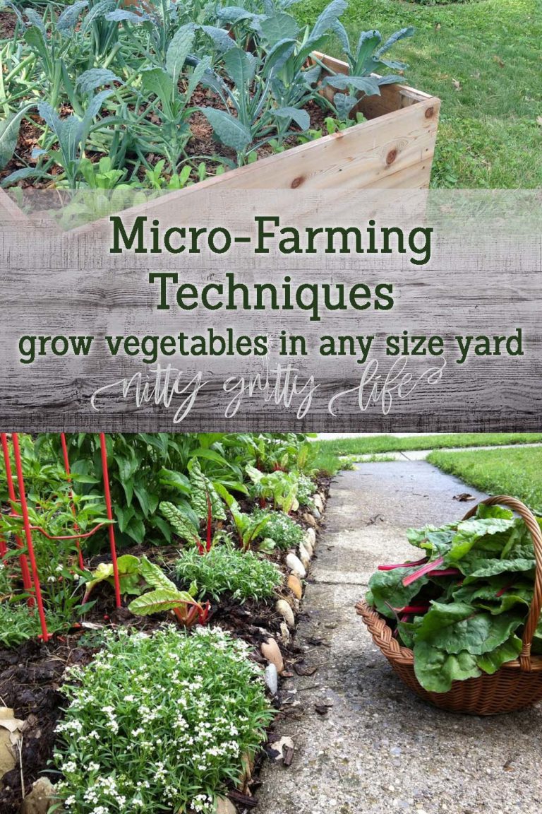Micro-Farming Techniques for Any Size Yard or Garden