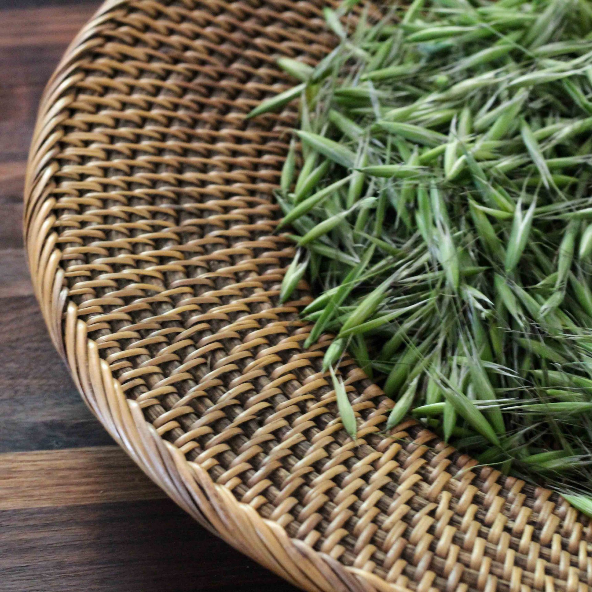 Oats, Milky Oats & Oatstraw: Therapeutic Actions & Medicinal Uses