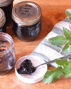 How to Grow & Forage Oregon Grape (Mahonia aquifolium)