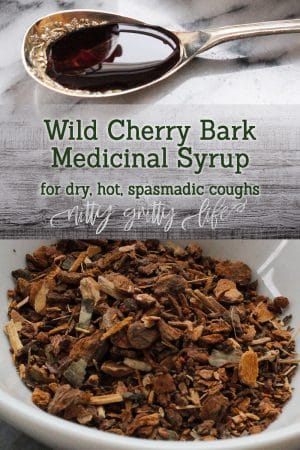 Medicinal Uses of Wild Cherry Bark & Cough Syrup Recipe