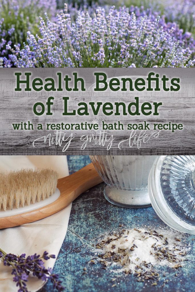 The Medicinal Uses & Health Benefits of Lavender